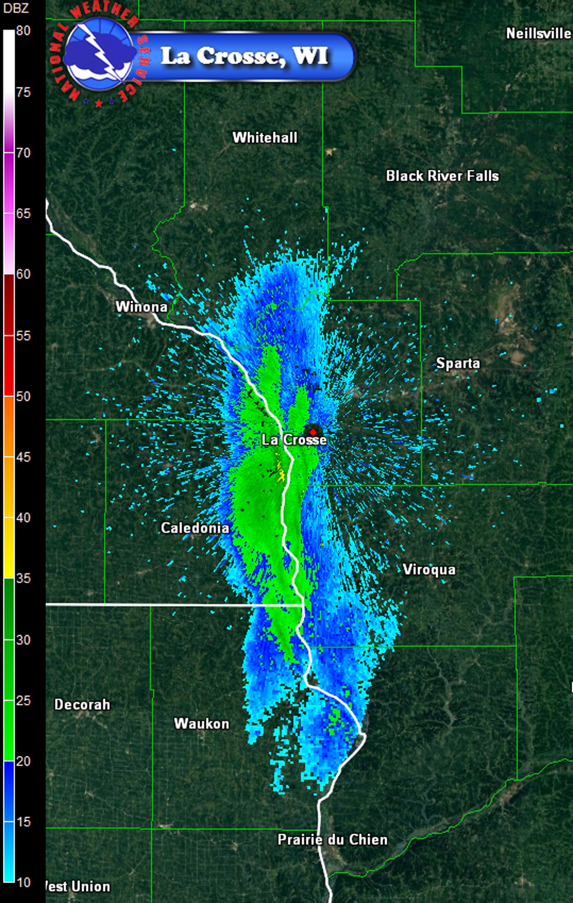 Bugs on Radar | God's World News