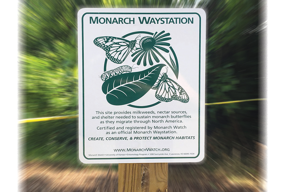 Monarchs in Trouble | God's World News