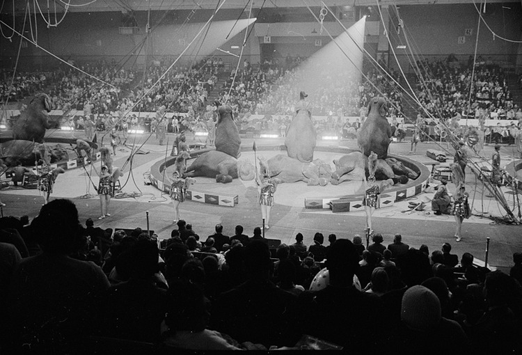 Circus Back Then | God's World News