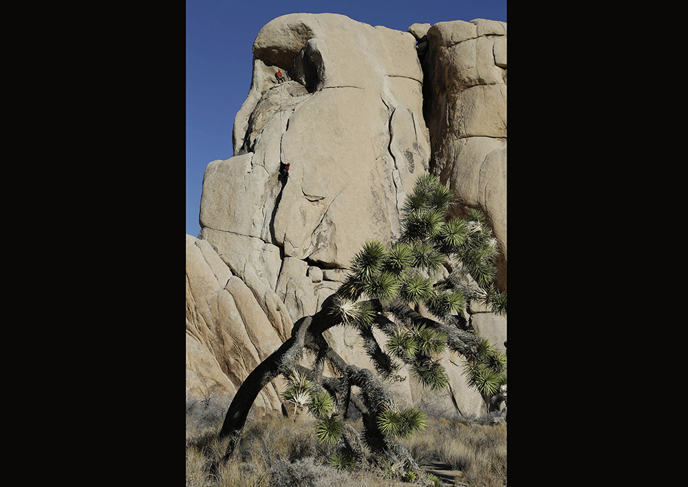 Risky Climb | God's World News