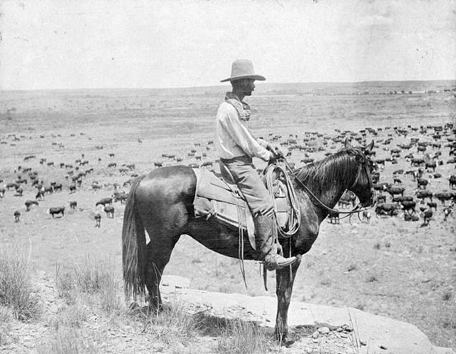 Go, Flo! | God's World News