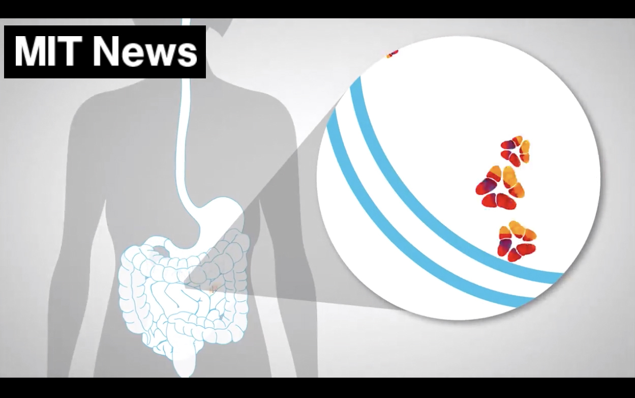 Internal Insulin Injector | God's World News