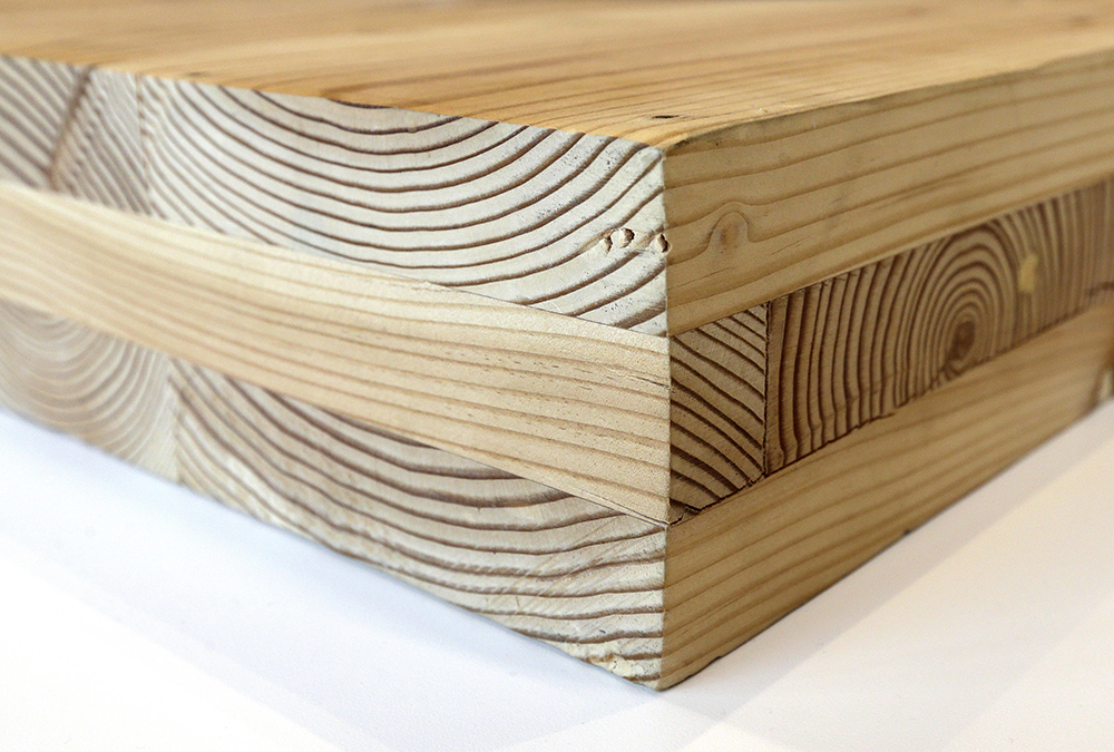 Tall Timbers for Oregon | God's World News