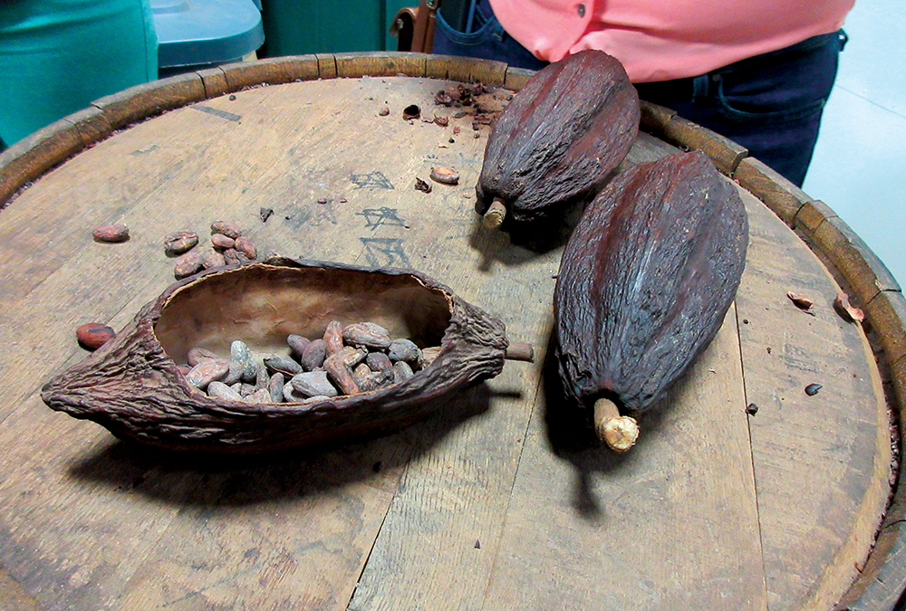 From Beans to Bars | God's World News
