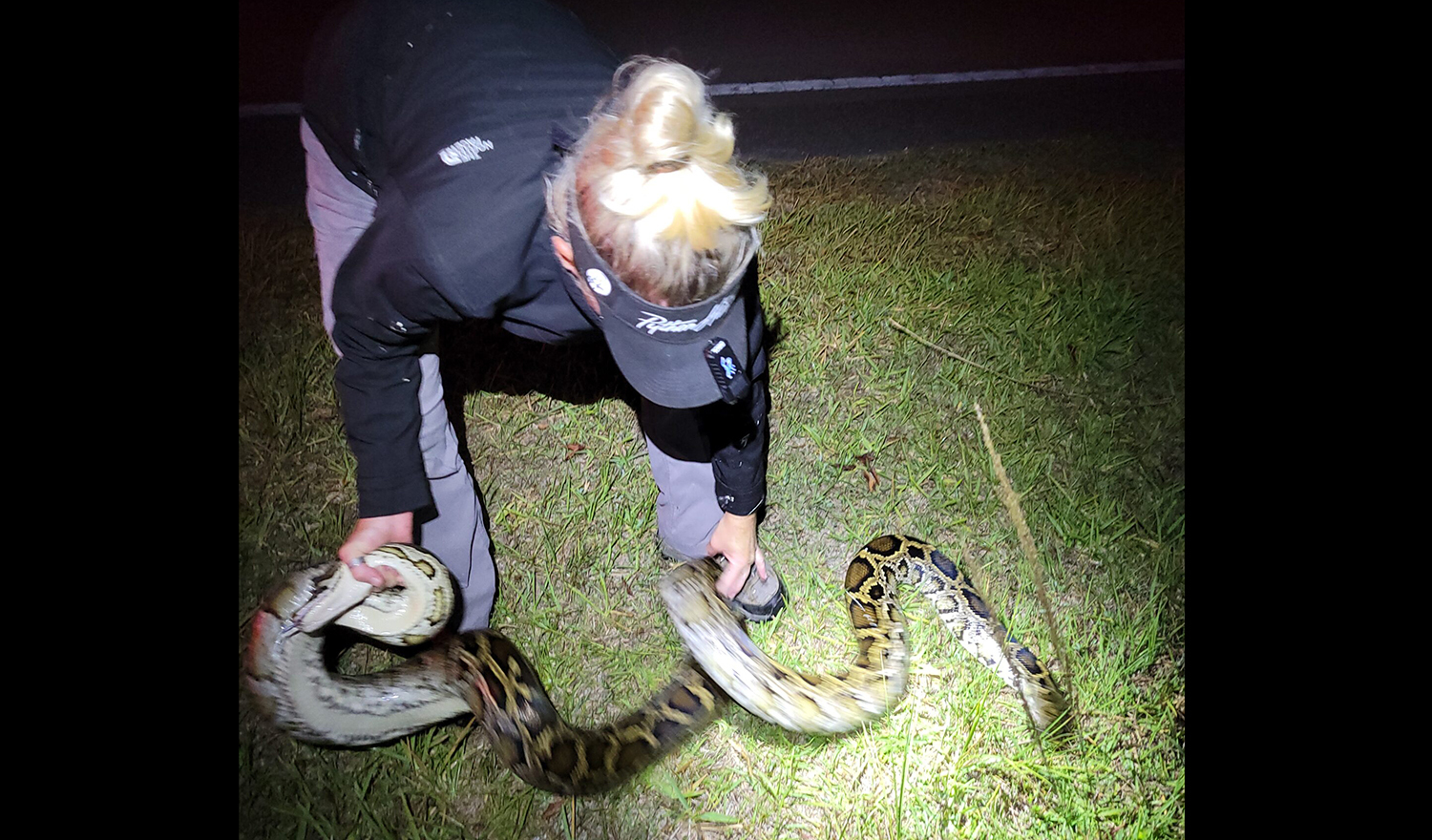 She is a snake hunter. | God's World News