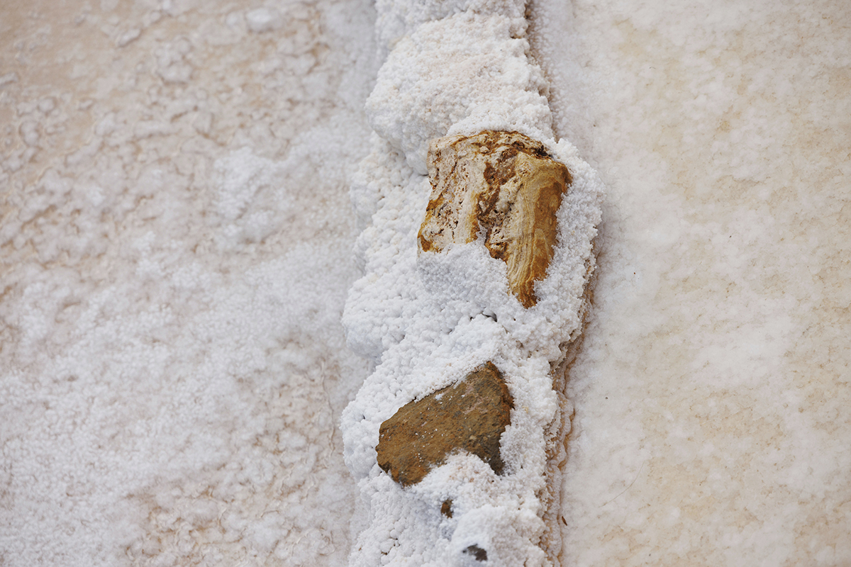 A Brief History of Salt | God's World News
