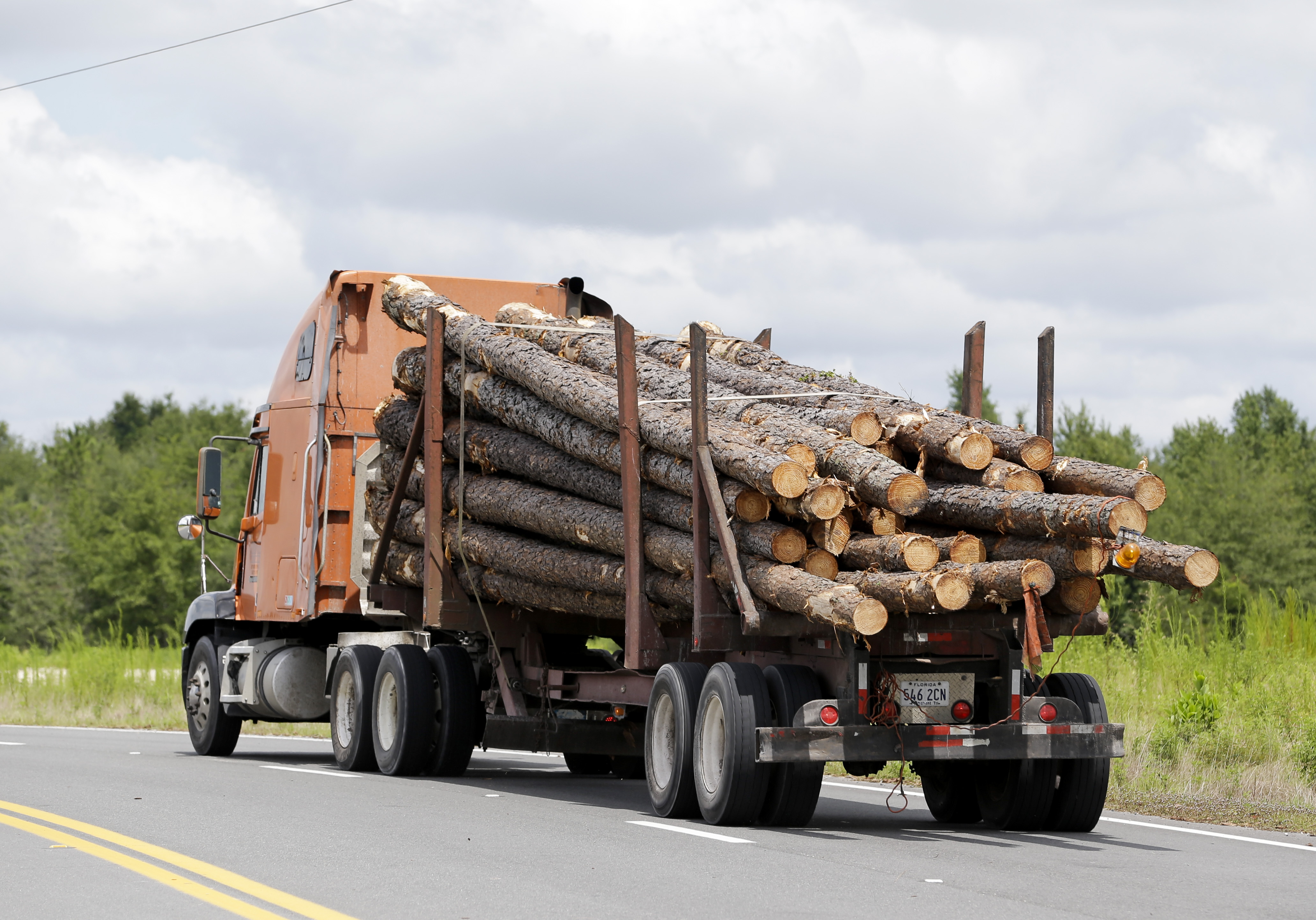American Timber Takes Cuts | God's World News
