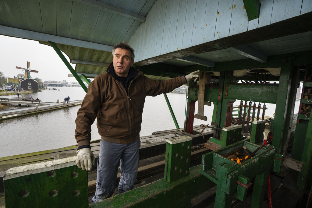 Reaping the Wind in the Netherlands | God's World News