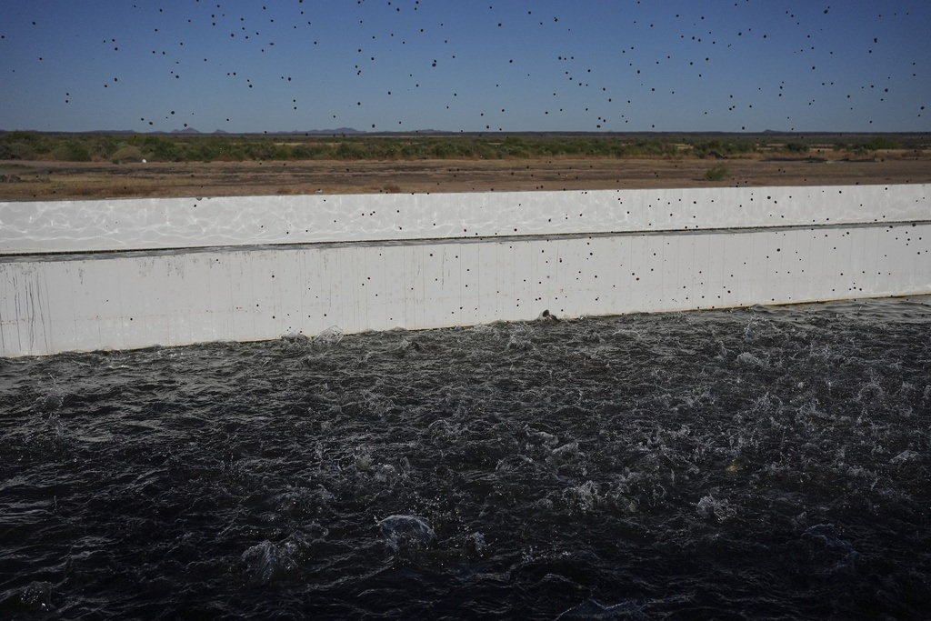 Fish in the Desert | God's World News