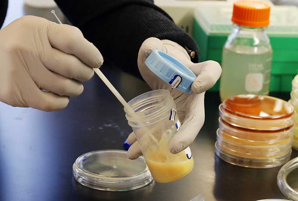 Germs Fighting Germs | God's World News