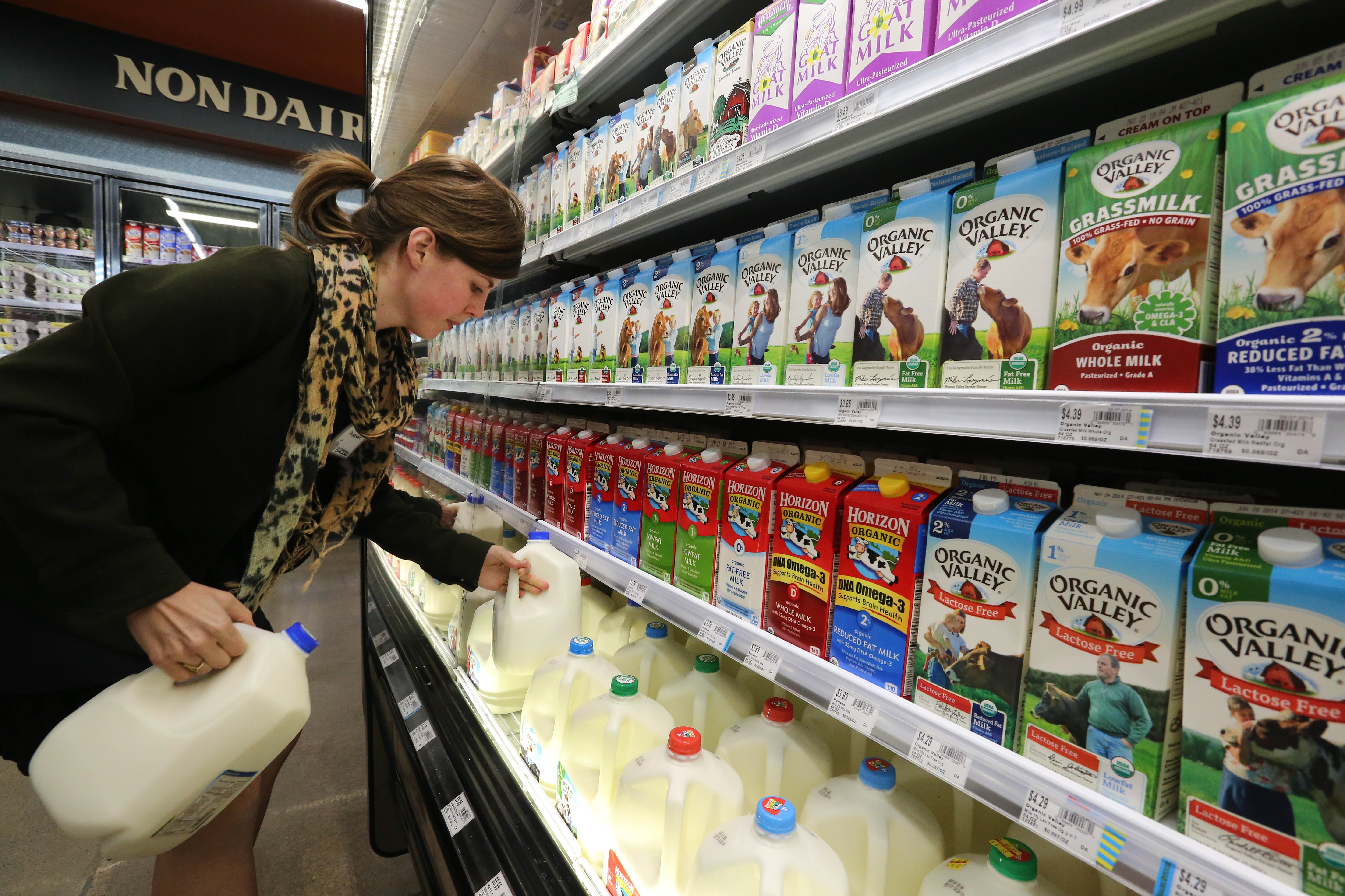 Grocery Shopping around the World | God's World News