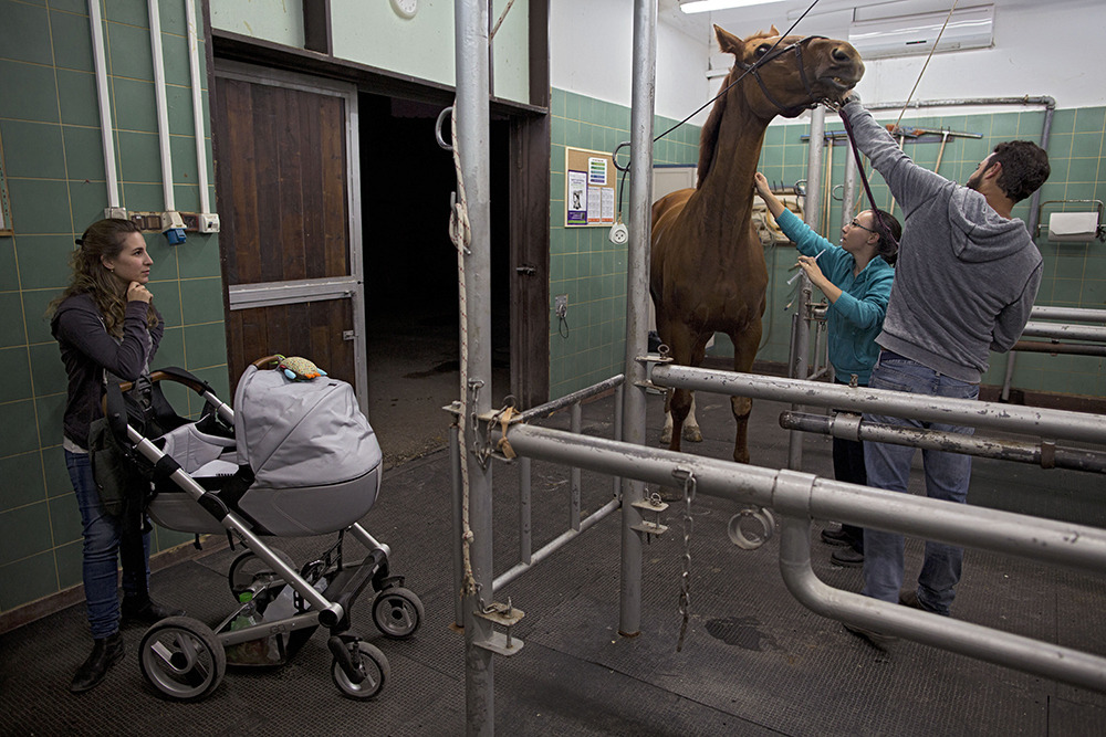 Horse Doctor | God's World News