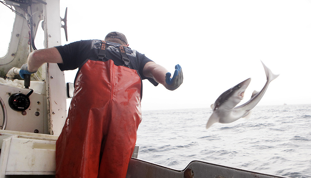 One Man’s Trash [Fish] | God's World News