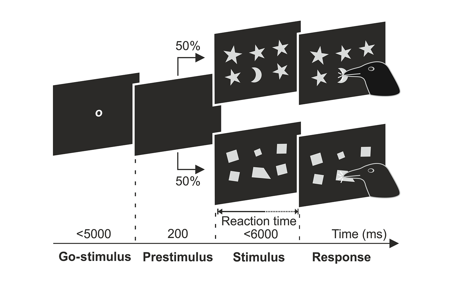 Smart Crows Spot the Differences | God's World News