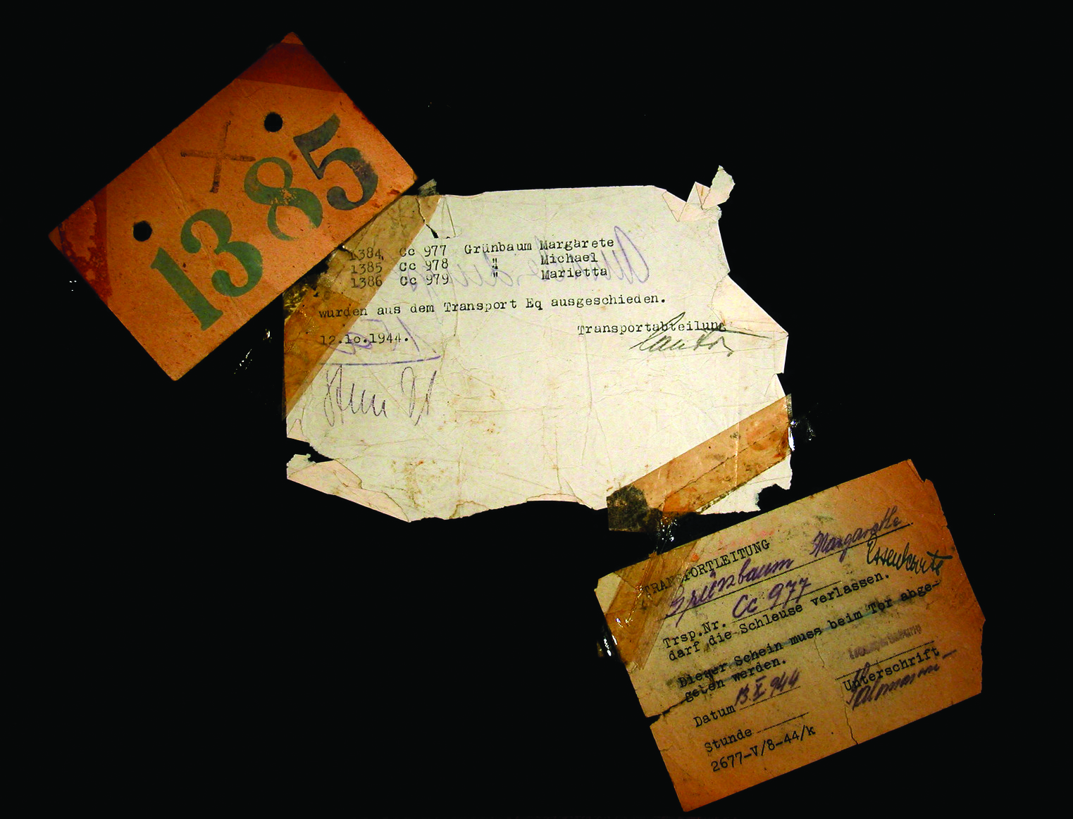 Michael Gruenbaum: Survivor | God's World News