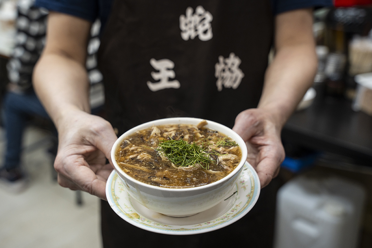 Pass the Snake Soup! | God's World News