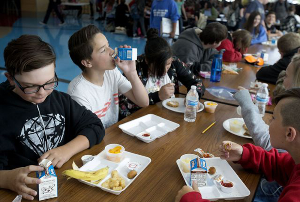 Lunch Shaming for Unpaid Bills | God's World News