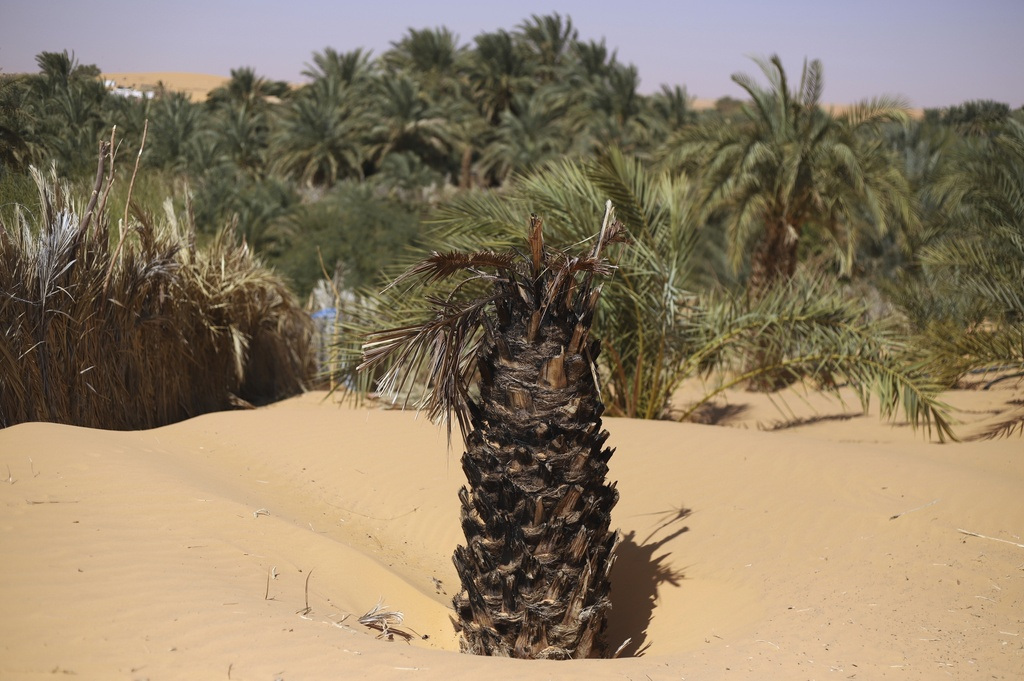 Desert on the Move | God's World News