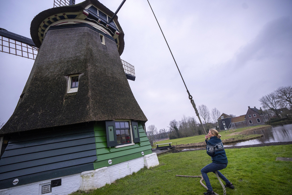 Reaping the Wind in the Netherlands | God's World News