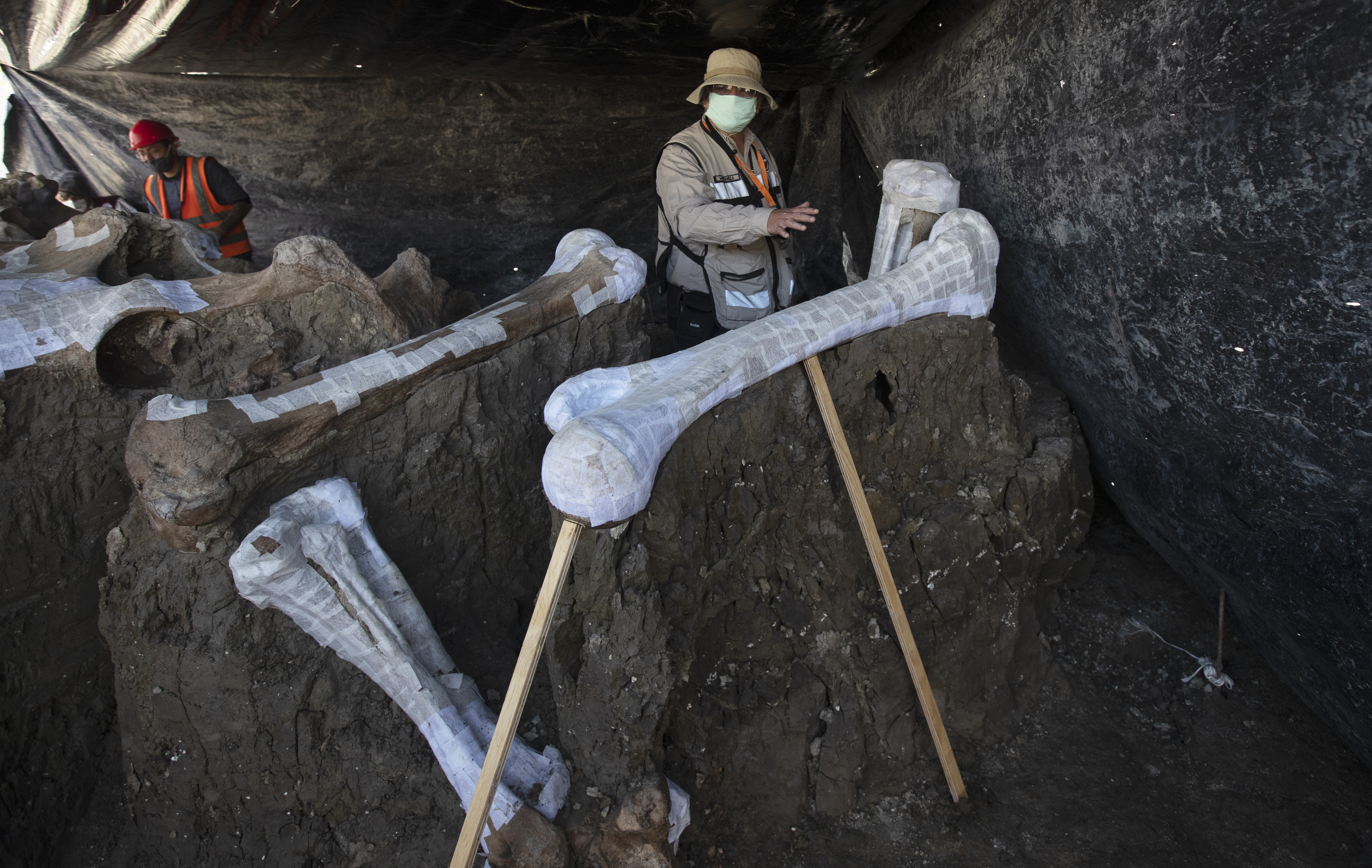 Mammoth Central | God's World News