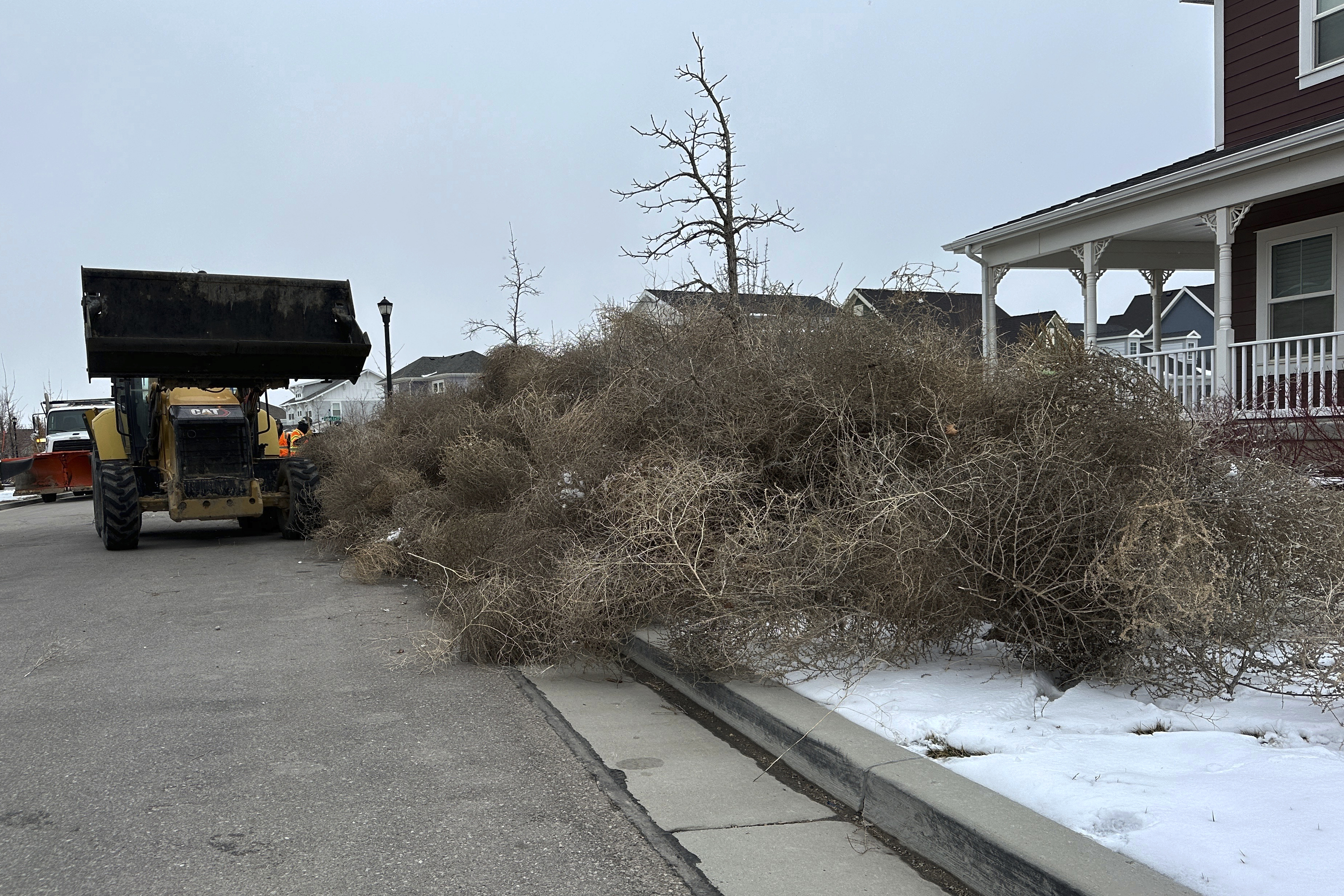 Tumbleweed Takeover | God's World News