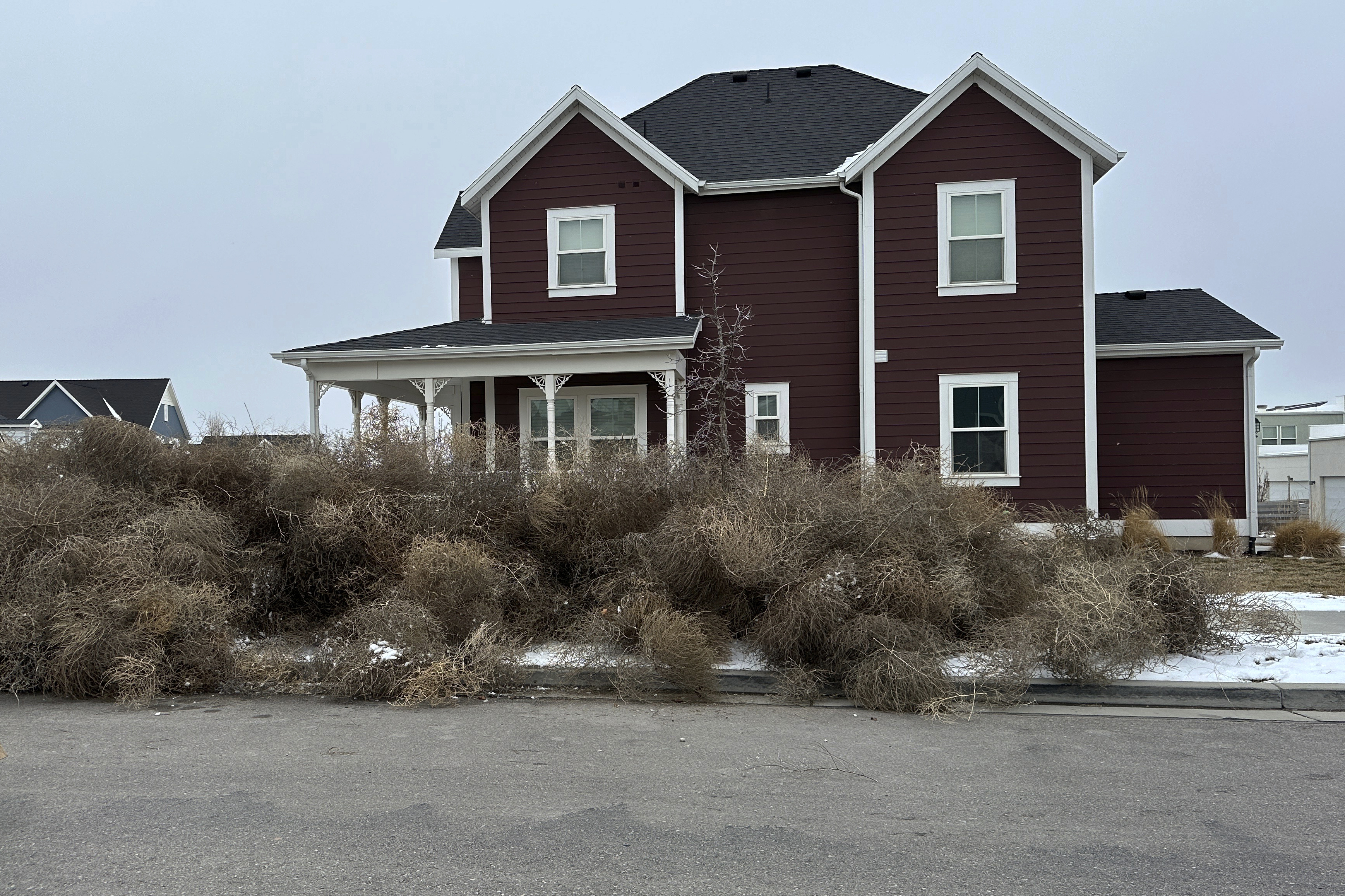 Tumbleweed Takeover | God's World News