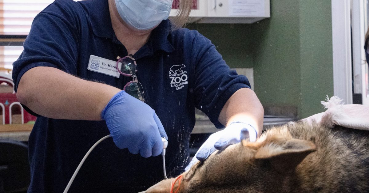 What Clean Teeth You Have! | God's World News