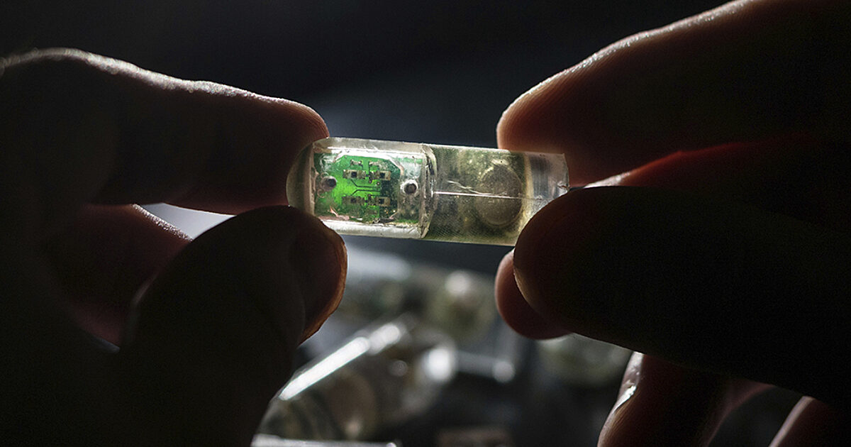 Gut Check Smart Capsule | God's World News