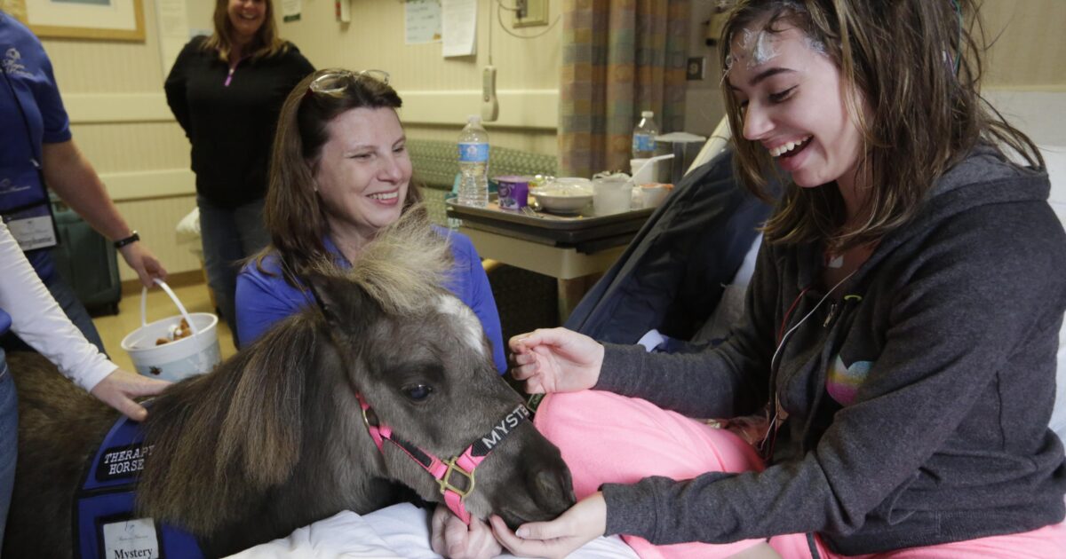 Horses in the Hospital | God's World News