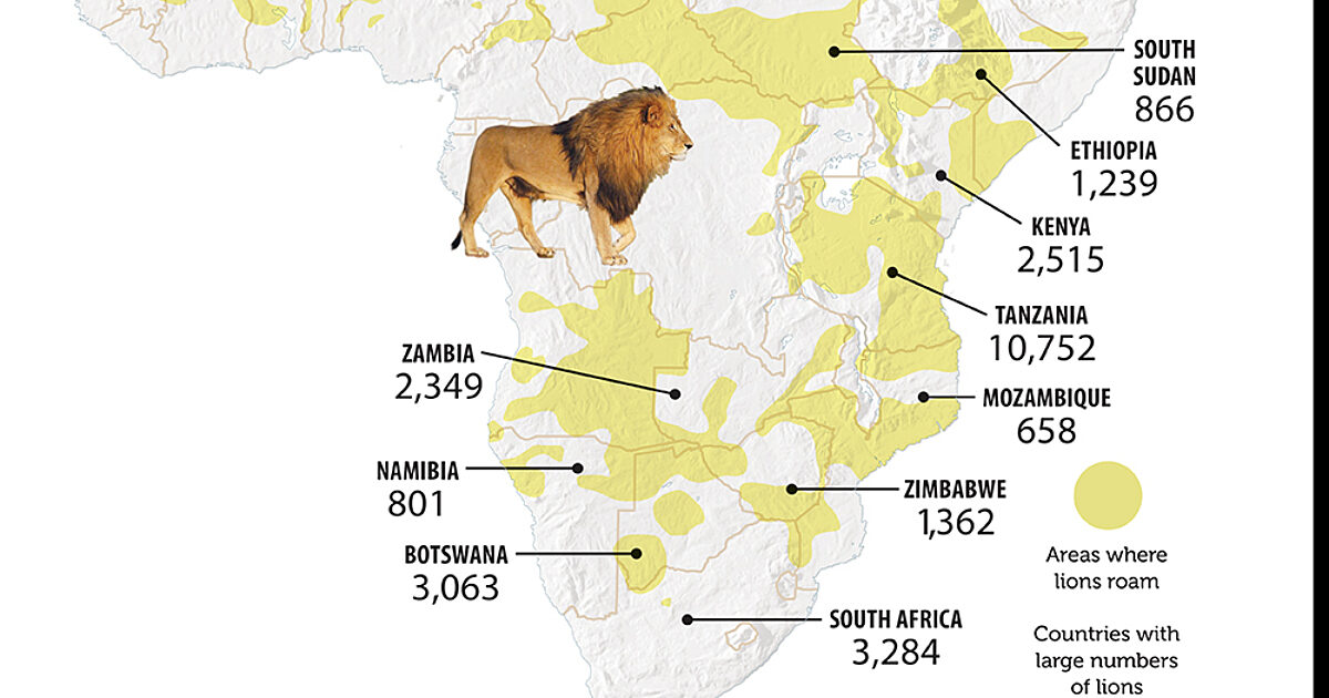 Lions: Where and How They Live | God's World News