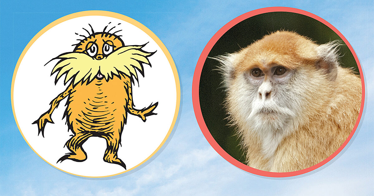 Dr. Seuss’s Monkey? | God's World News