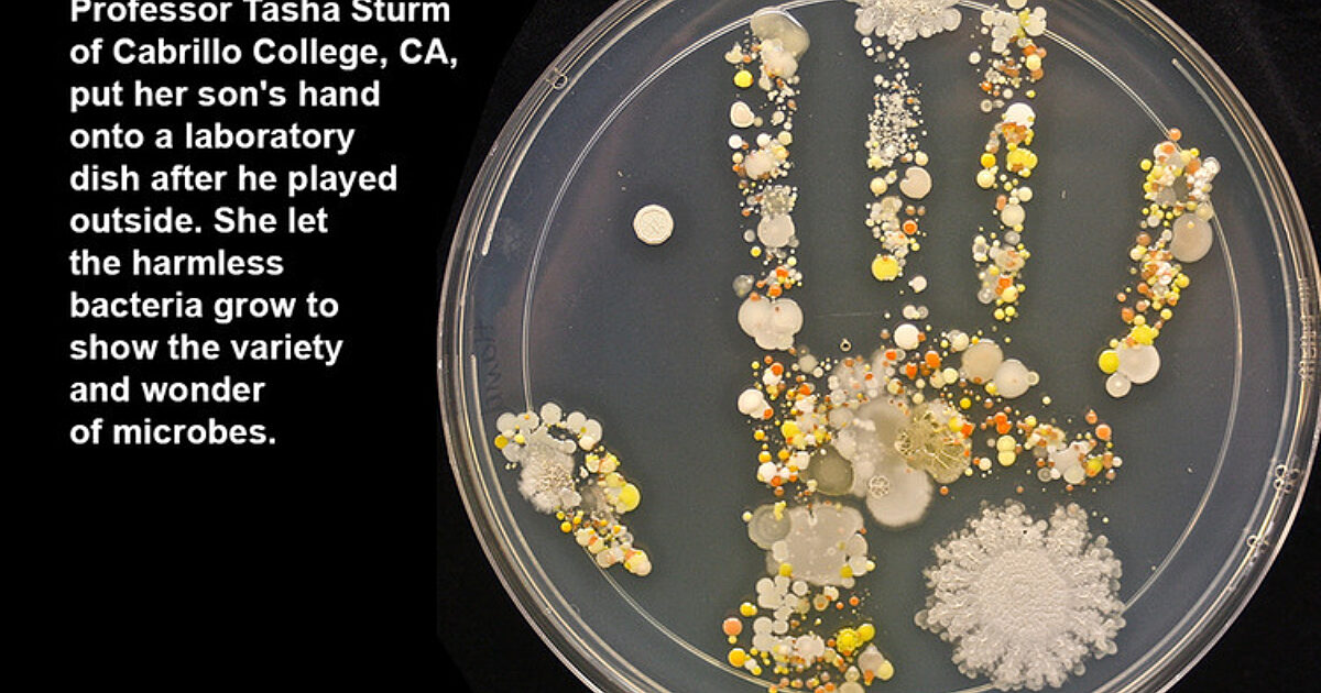 Not Just Germs | God's World News