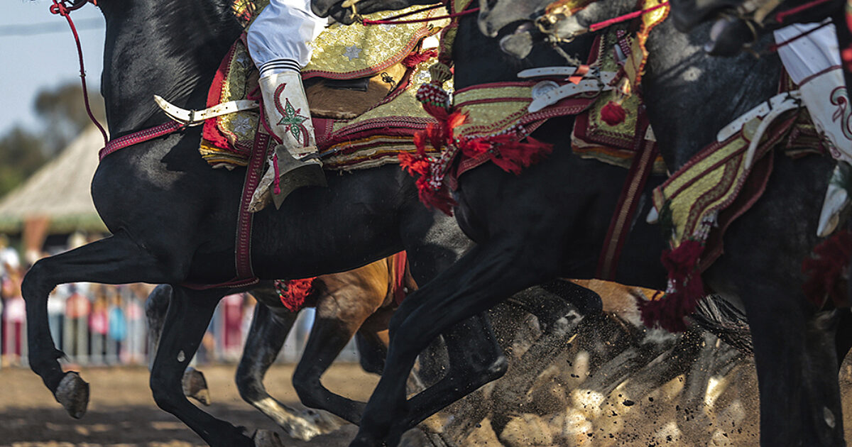 The Fantasia of Morocco | God's World News