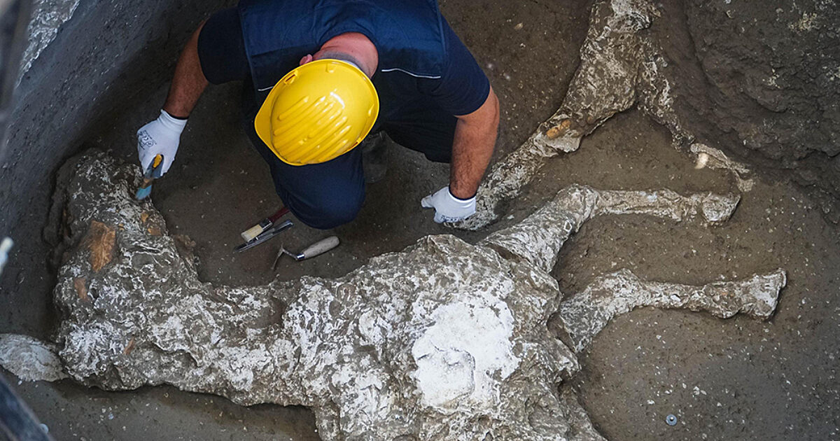 Ongoing Discovery at Pompeii | God's World News