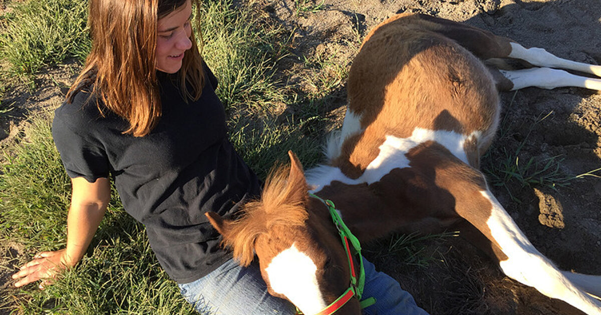 Patience from Ponies | God's World News