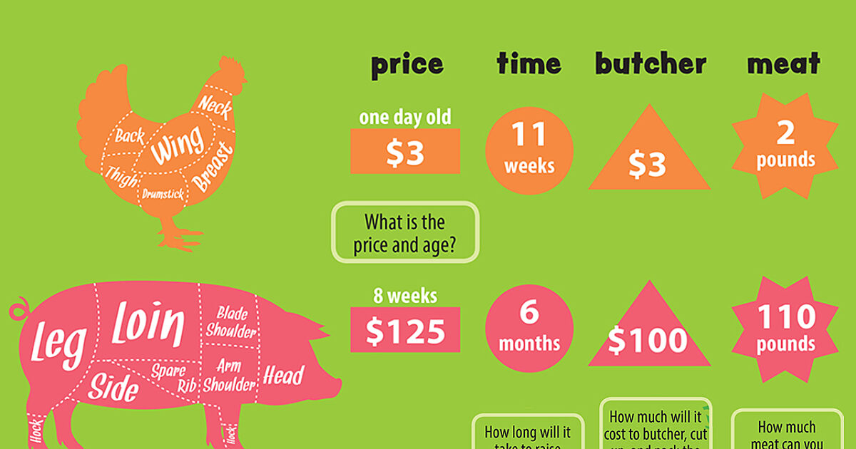 Raising Food—Think it Through | God's World News