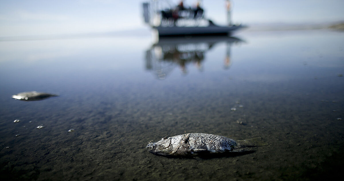 The Shrinking Salton Sea | God's World News