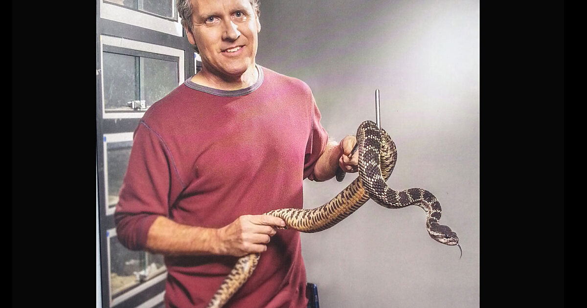 Snuggle up, snakes. | God's World News