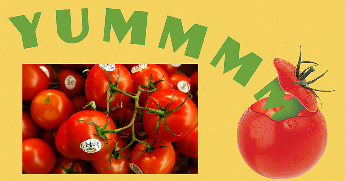 Bring the Flavor Back to the Tomato | God's World News