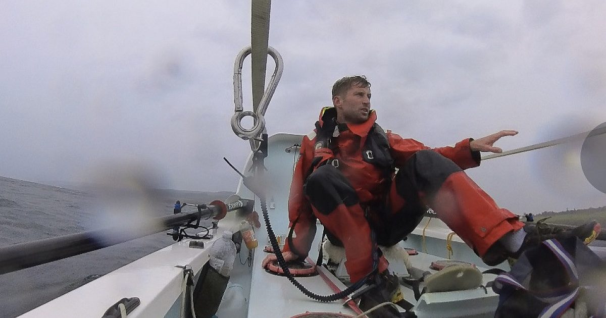 Join a whale party. | God's World News