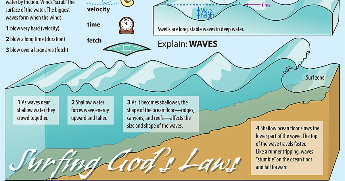 Surfing God's Laws | God's World News