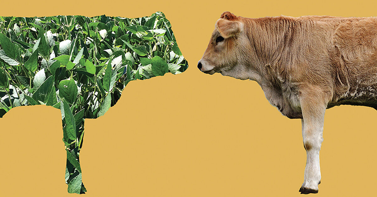 Fake Meat | God's World News