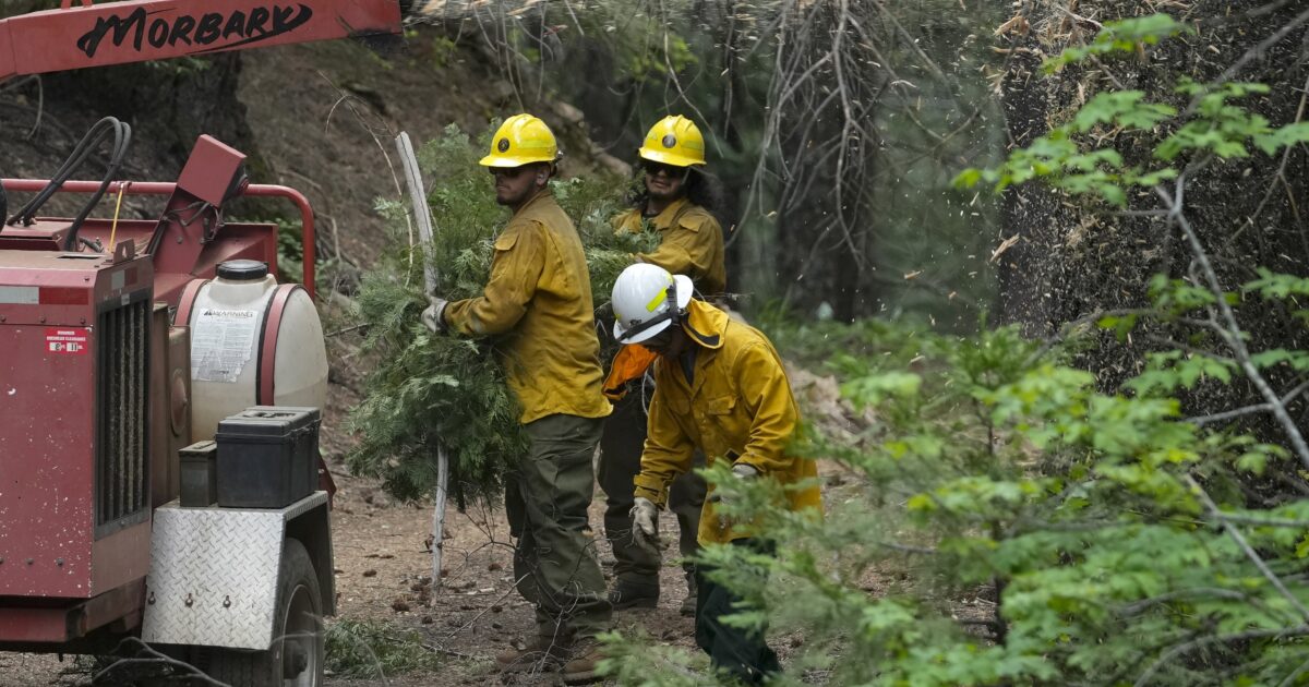 Good Fires in the Forest | God's World News