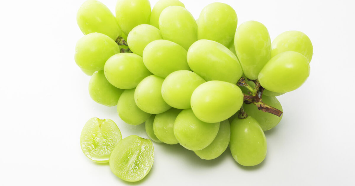 What Makes a Berry a Berry? | God's World News
