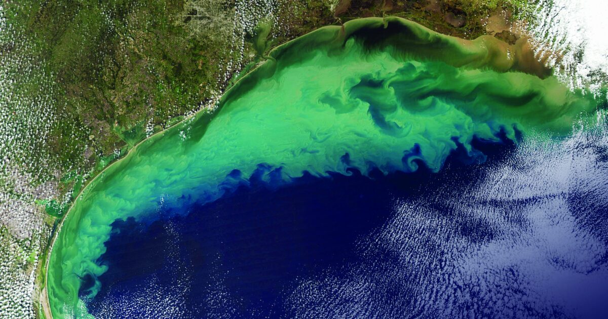 Gulf of Mexico’s Dead Zone | God's World News