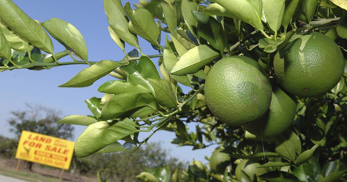 Goodbye Suburbs, Hello Exurbs | God's World News