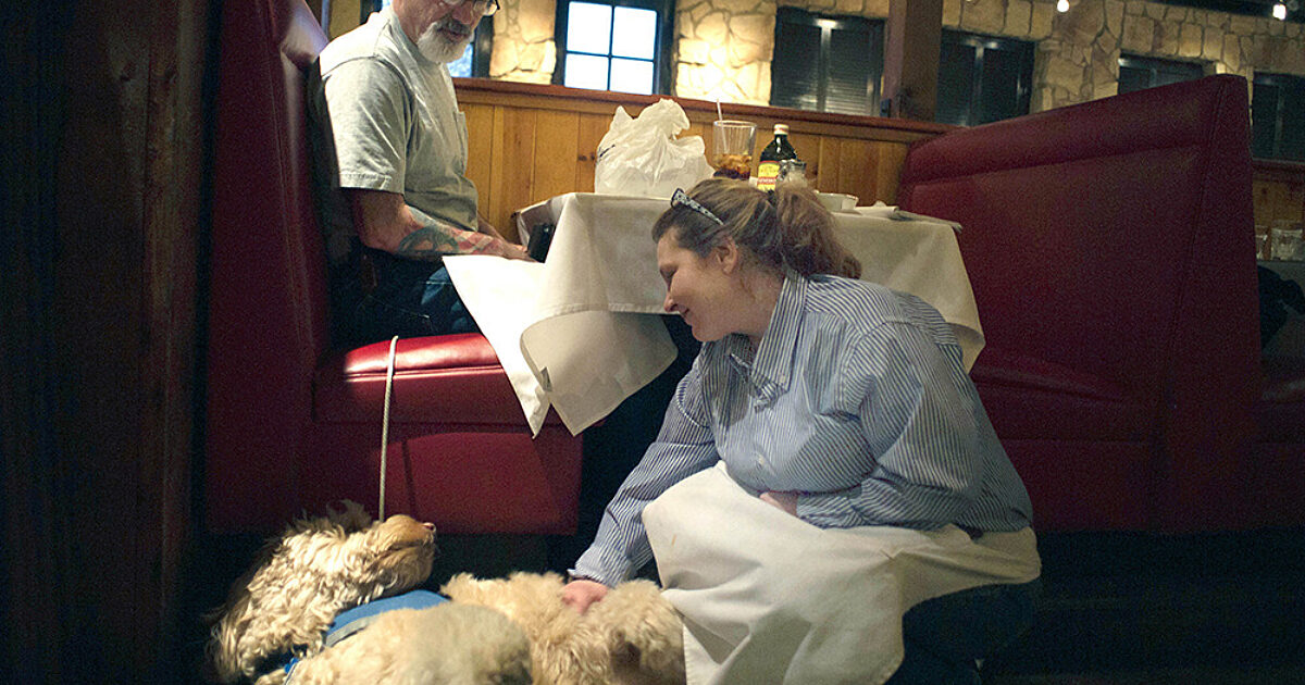 Fake Service Dogs | God's World News