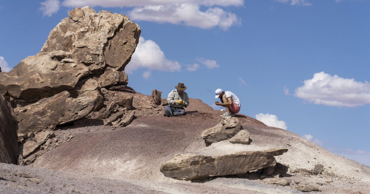 Paleontologists at Work | God's World News
