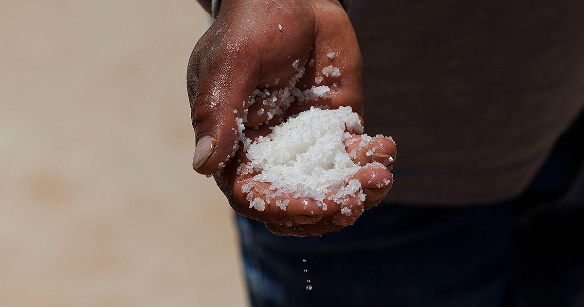 A Brief History of Salt | God's World News