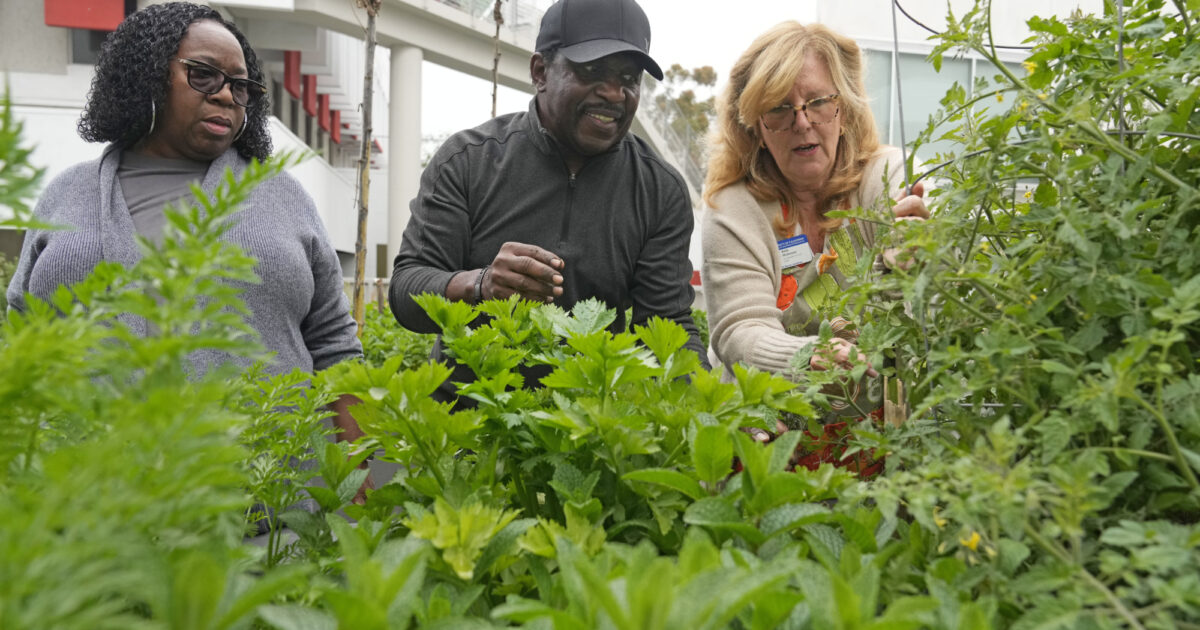 Volunteerism on the Decline | God's World News